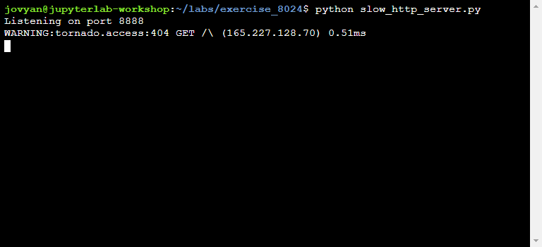 Advanced XXE Exploitation